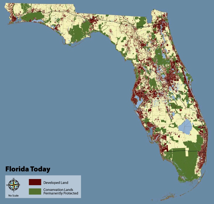 Wildlife corridor disappearing as Florida's population zooms
