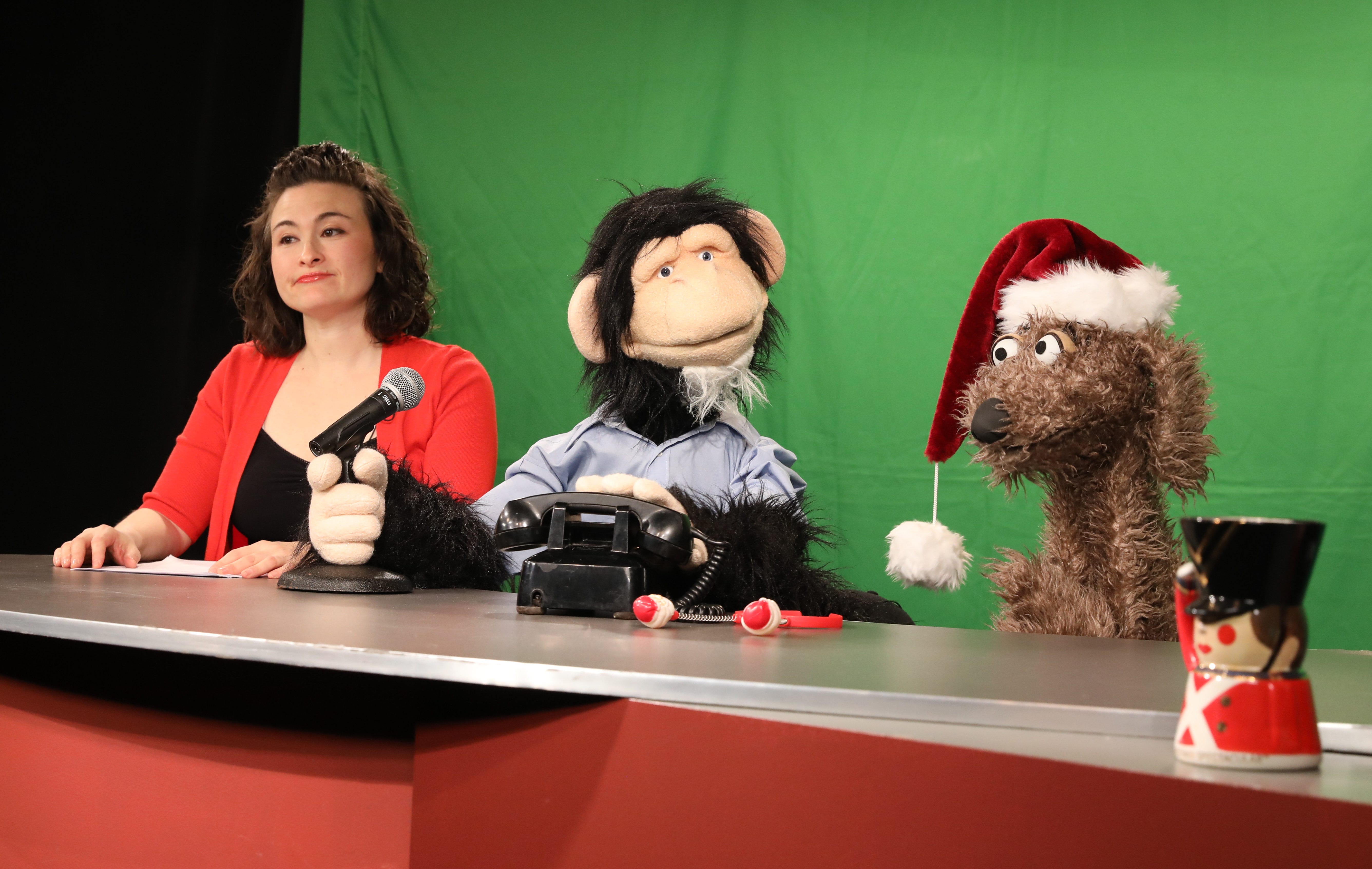 Late night puppet talk show takes on the news with a side of snark