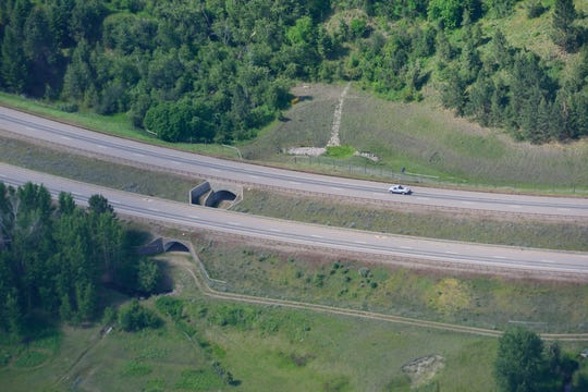 Wildlife corridors: Do they effectively reduce human, animal danger?