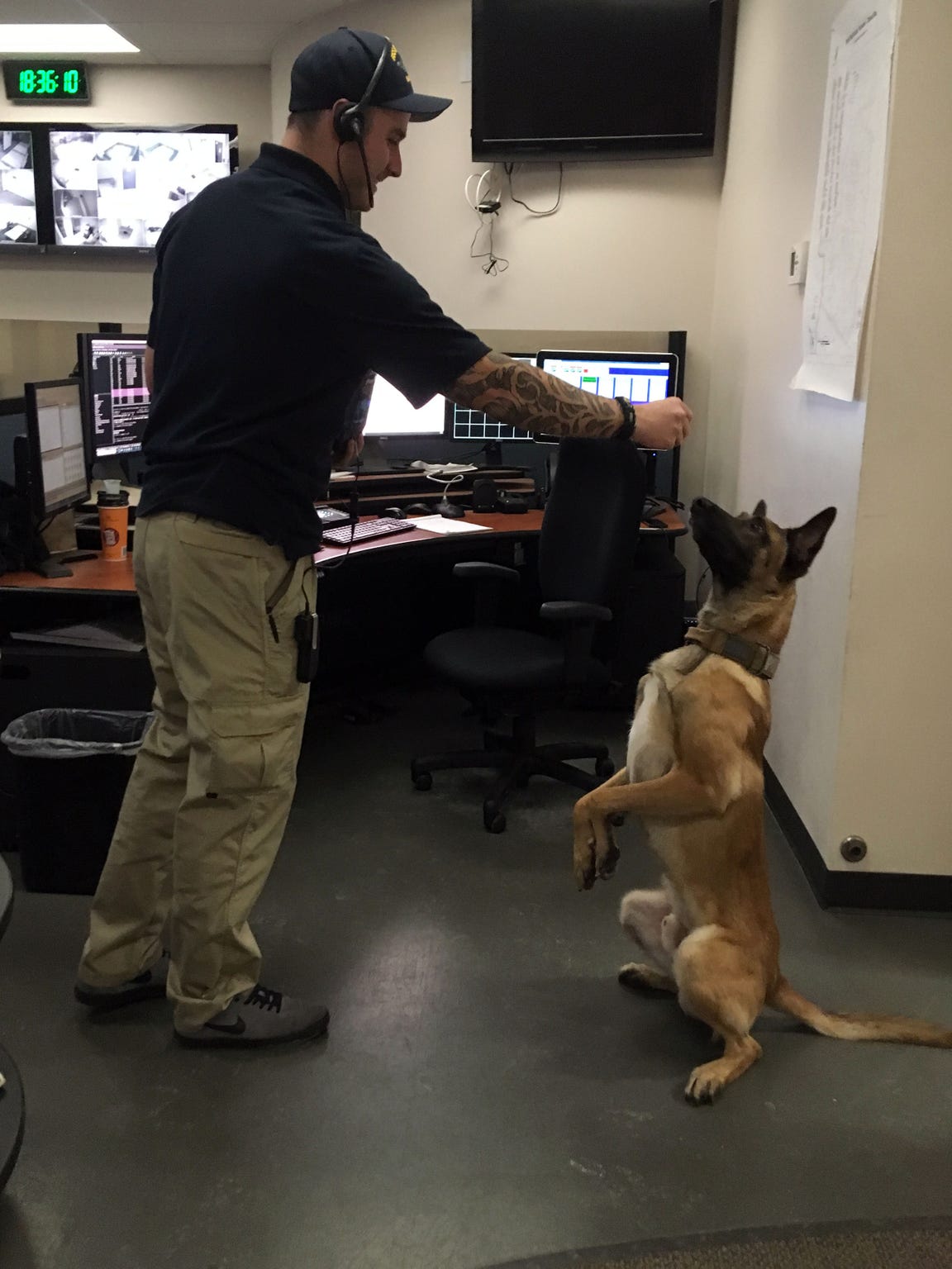 A day in the life of a Vermont police K9 team