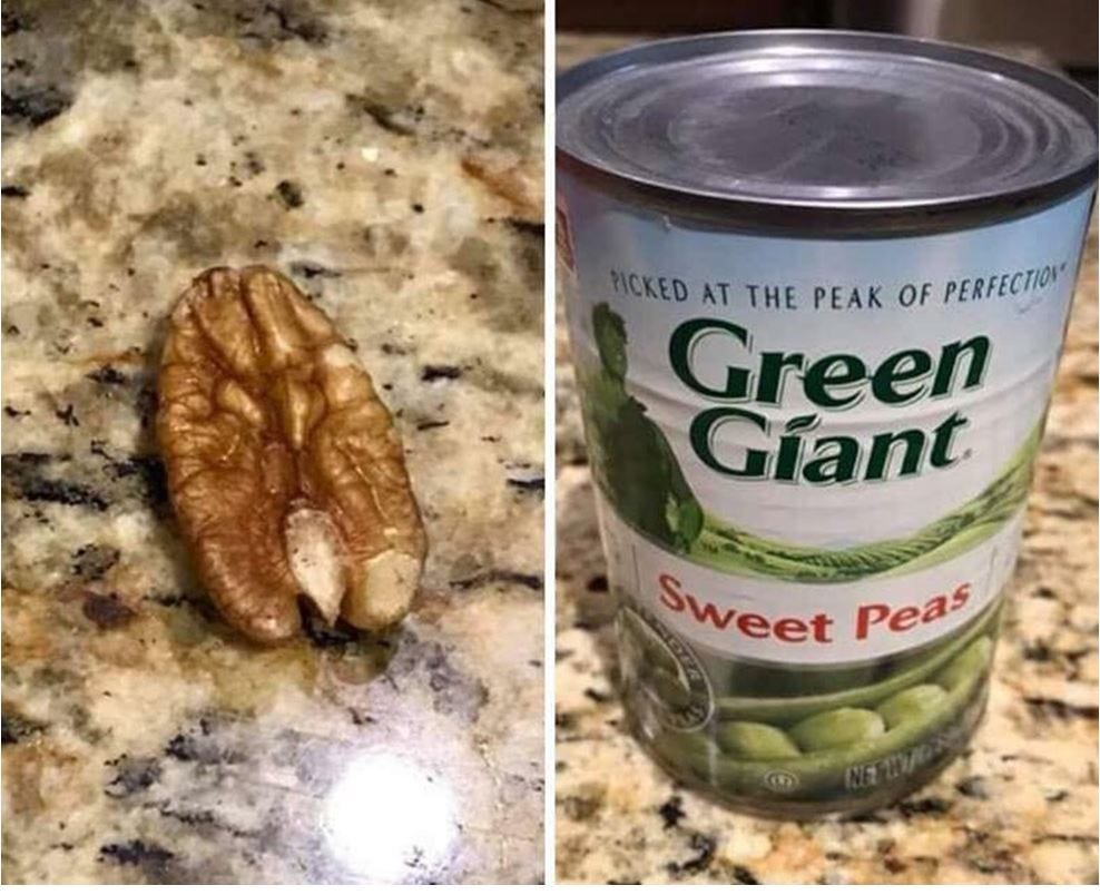 30-Second Read friends offer help with how to pronounce 'pecan'