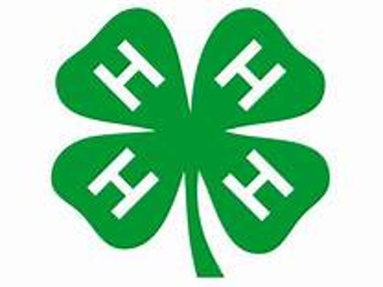 Coronavirus NJ: 4-H From Home website created