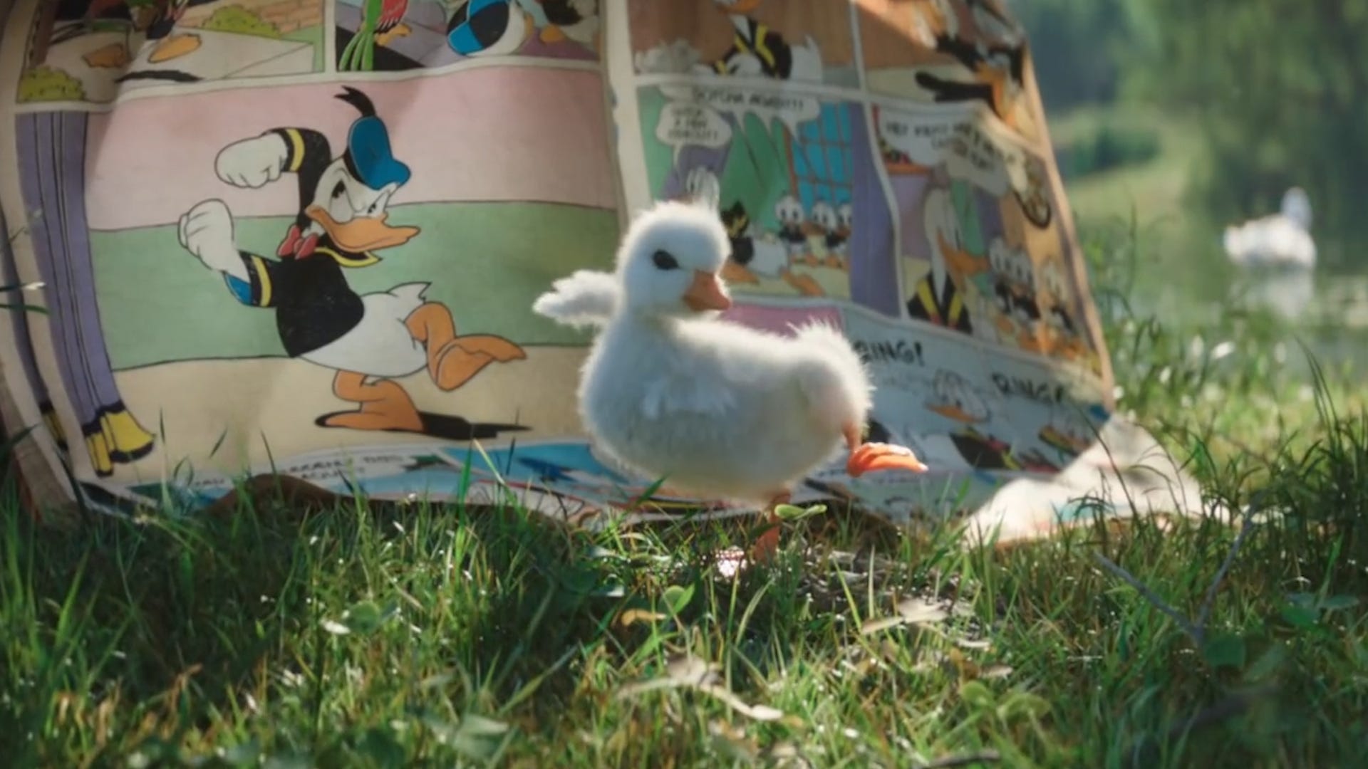 This little duck is every Disney fan