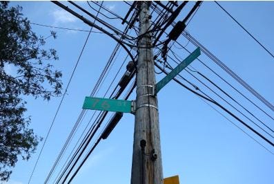 A telephone pole's life begins with a very tall, straight tree