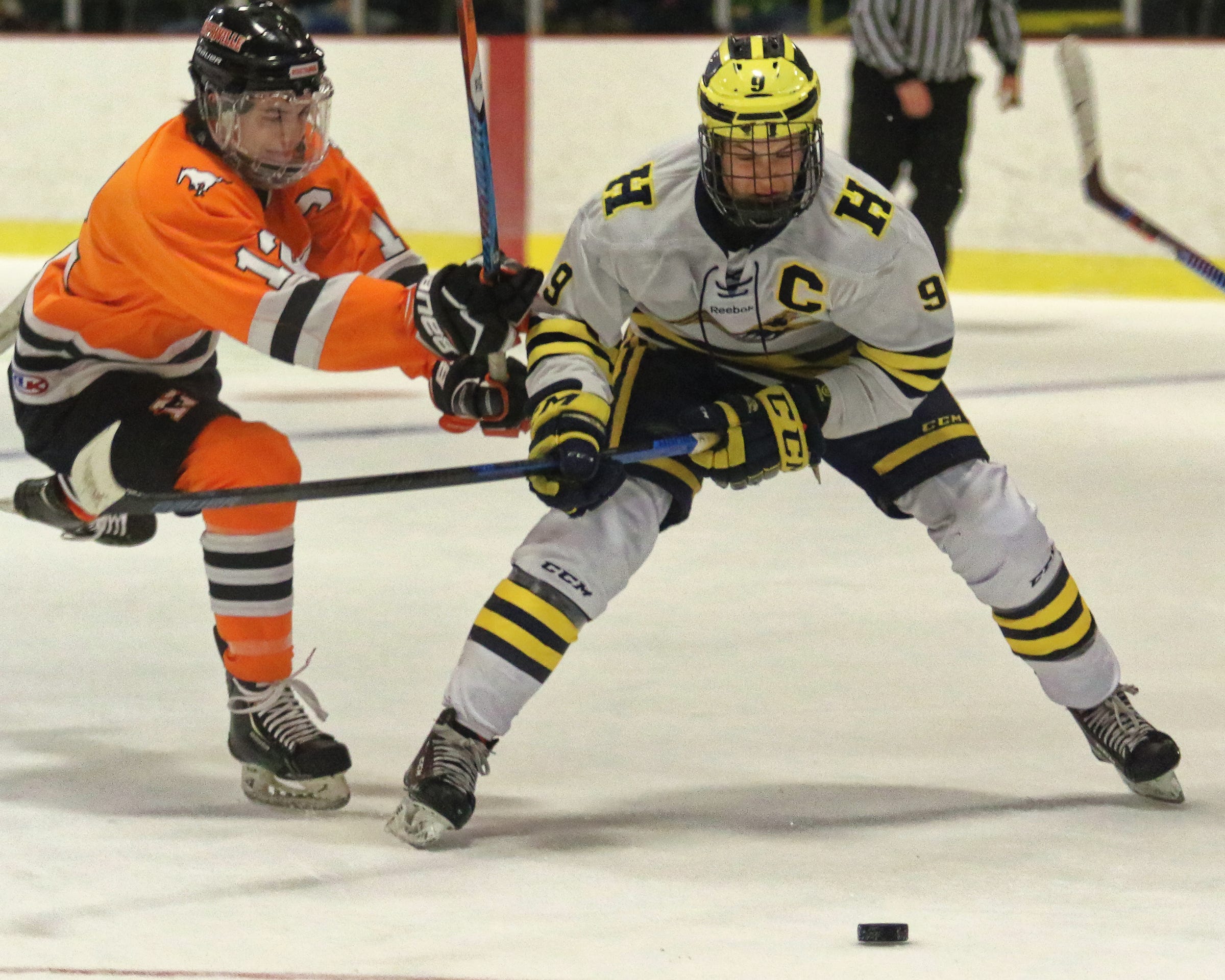 Top 5 Livingston County hockey players, midseason edition