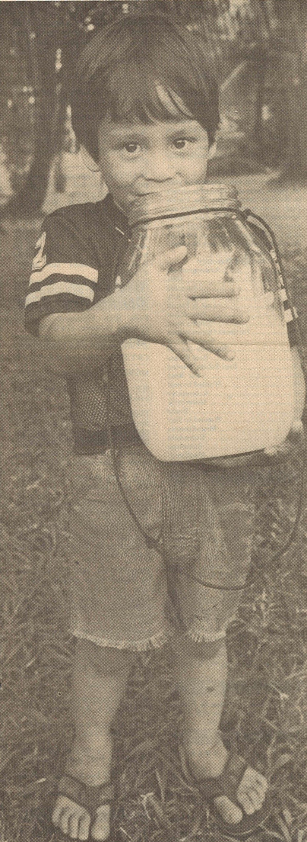 Tuba taxed, outlawed, now threatened by rhino beetle | Culture ...