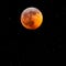 Super blood wolf moon 2019: Best photos from around Michigan