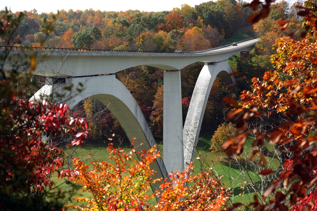 Natchez Trace Bridge suicides: Barriers could prevent deaths, group says