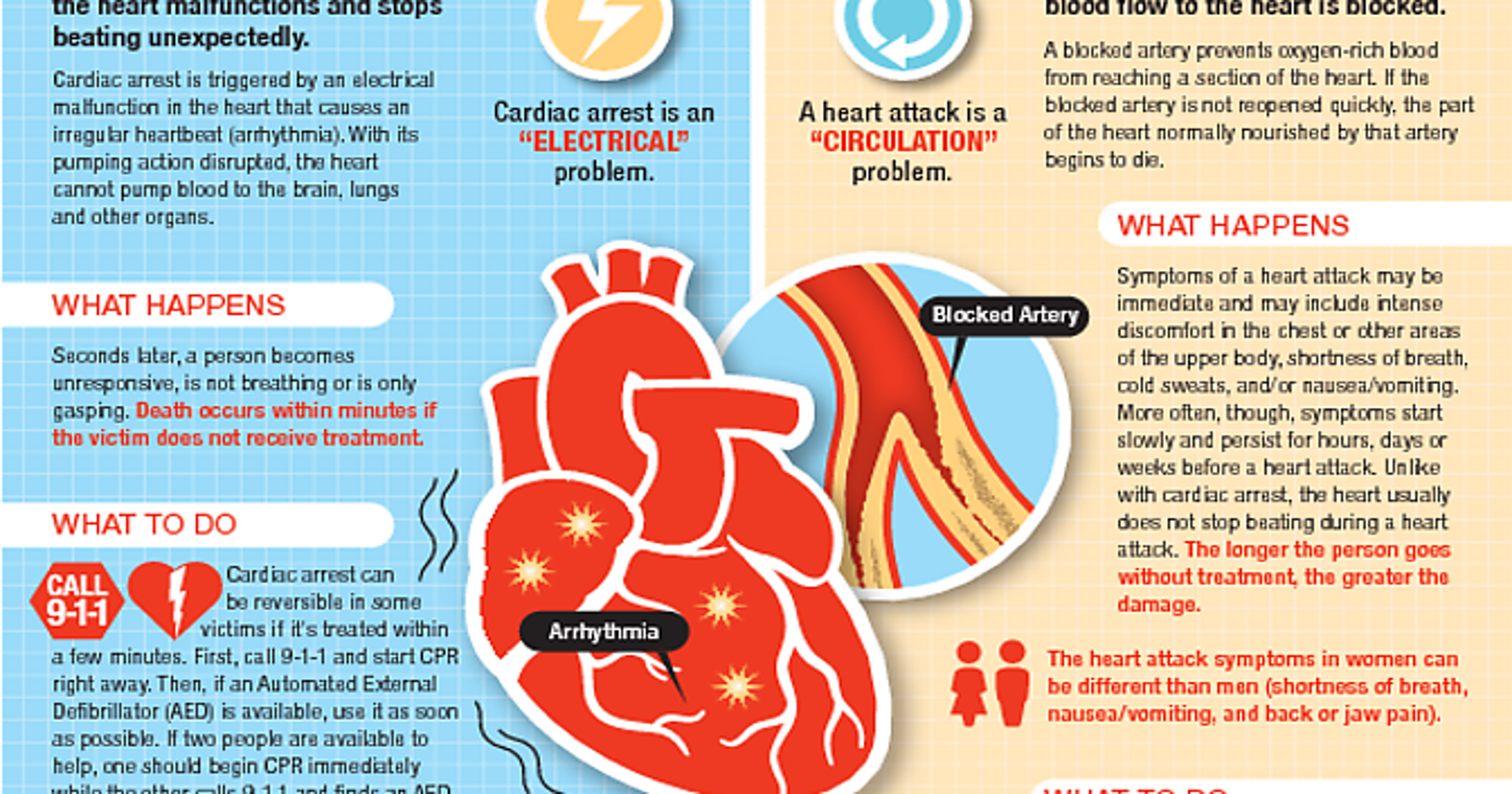 Understanding And Preventing Cardiovascular Disease P