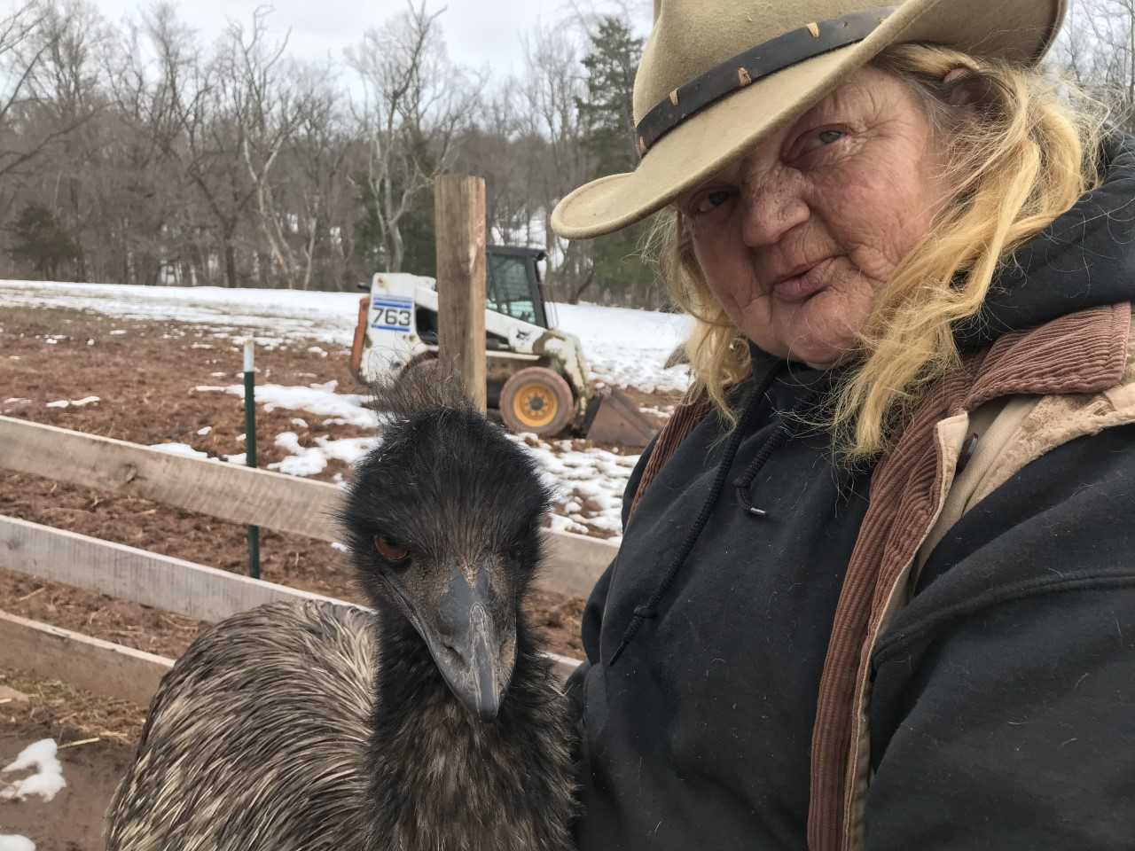 Emu bird on the loose in Pa.: Call the Mountain Lady