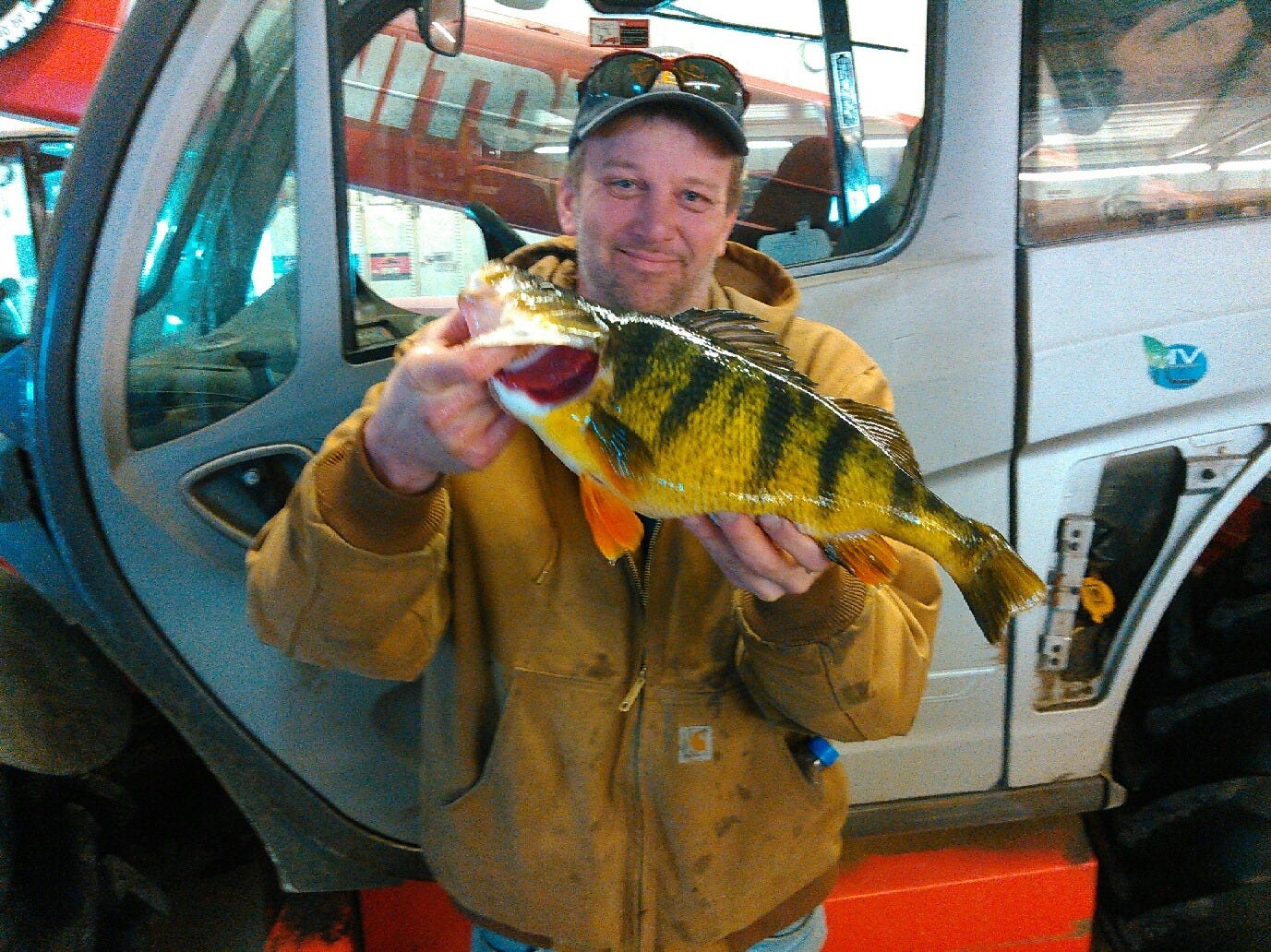 World Record Yellow Perch