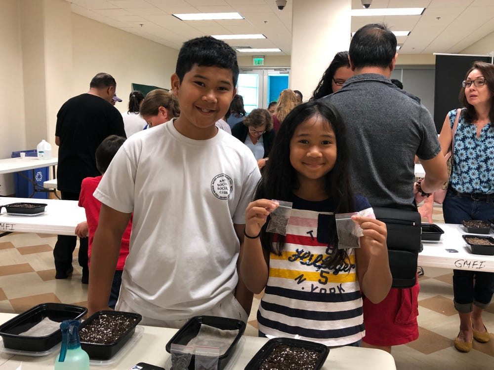 Microgreens workshop sees big turnout, positive responses | Lifestyle ...