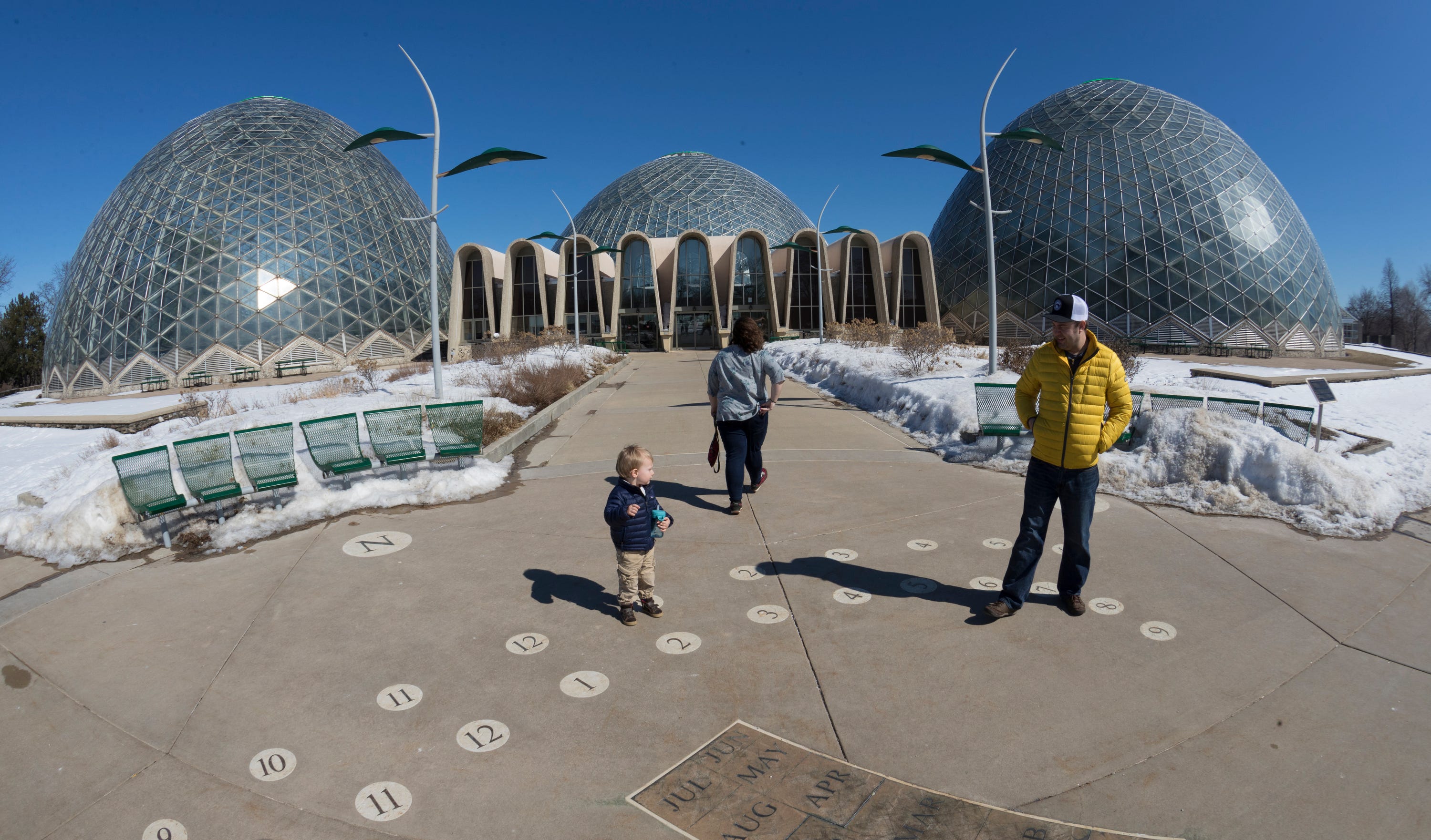 Study backs demolishing Mitchell Park Domes and combining with museum