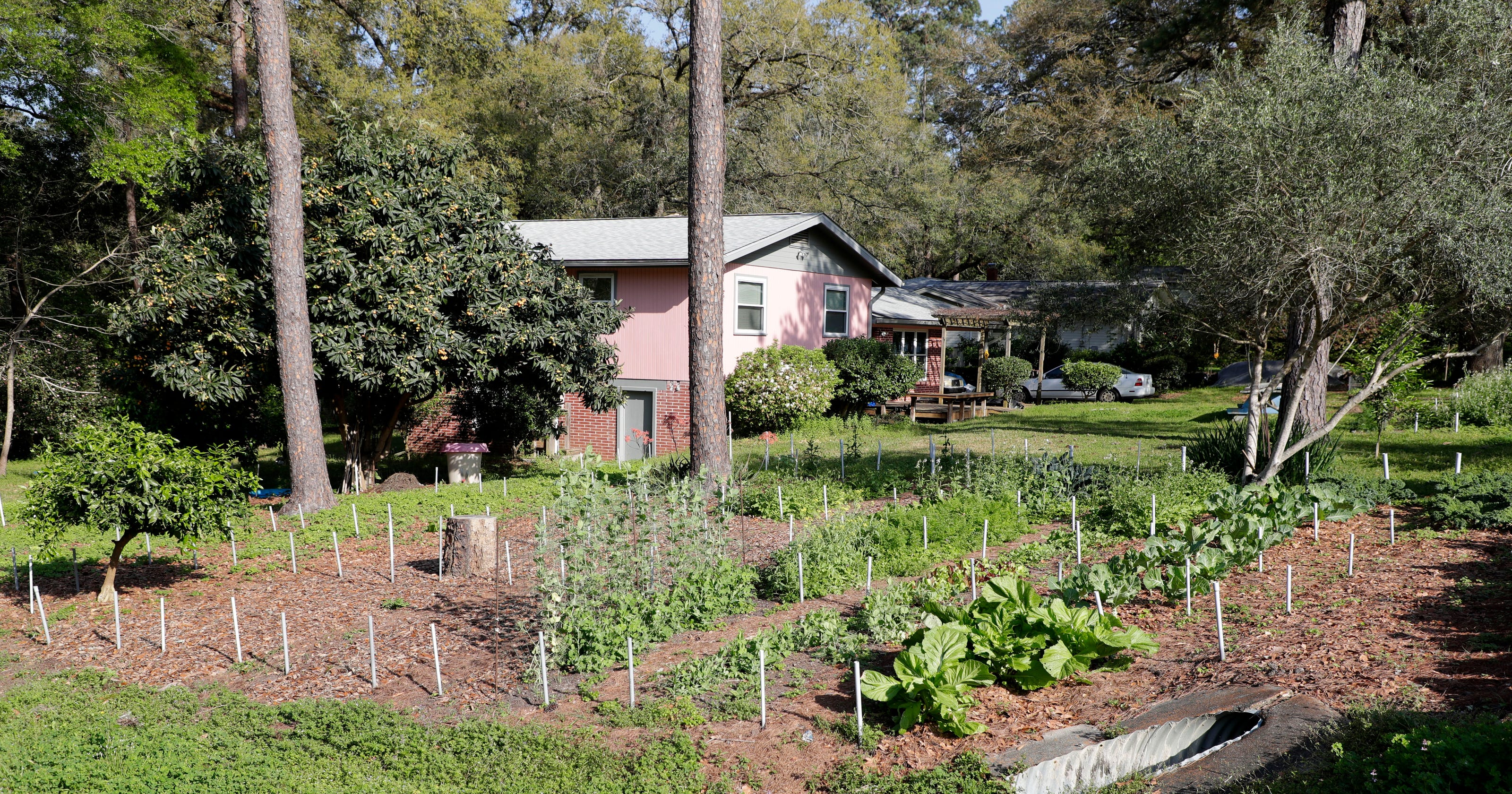 Vegetable garden bill could be voted on as early as next week