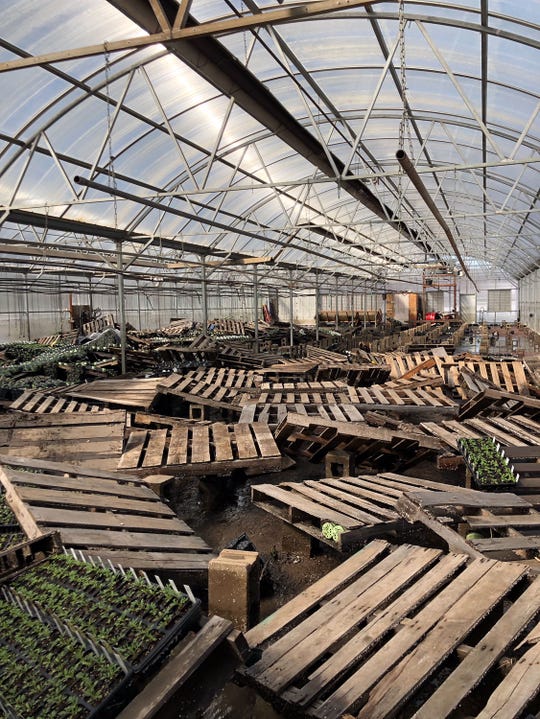 Sioux Falls flooding: Cliff Avenue Greenhouse faces 'heartbreaking ...