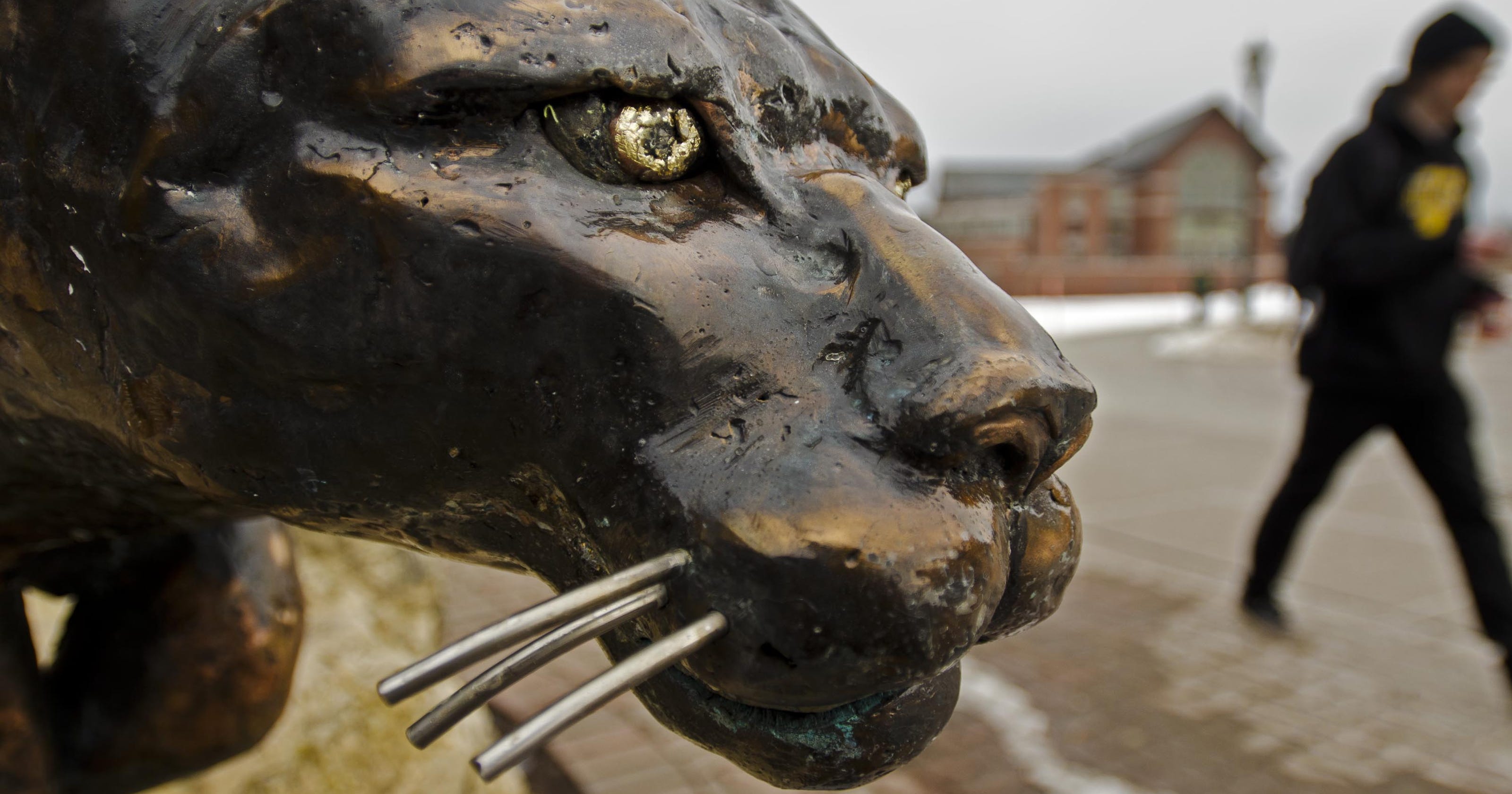 What is a Catamount? UVM basketball's mascot explained