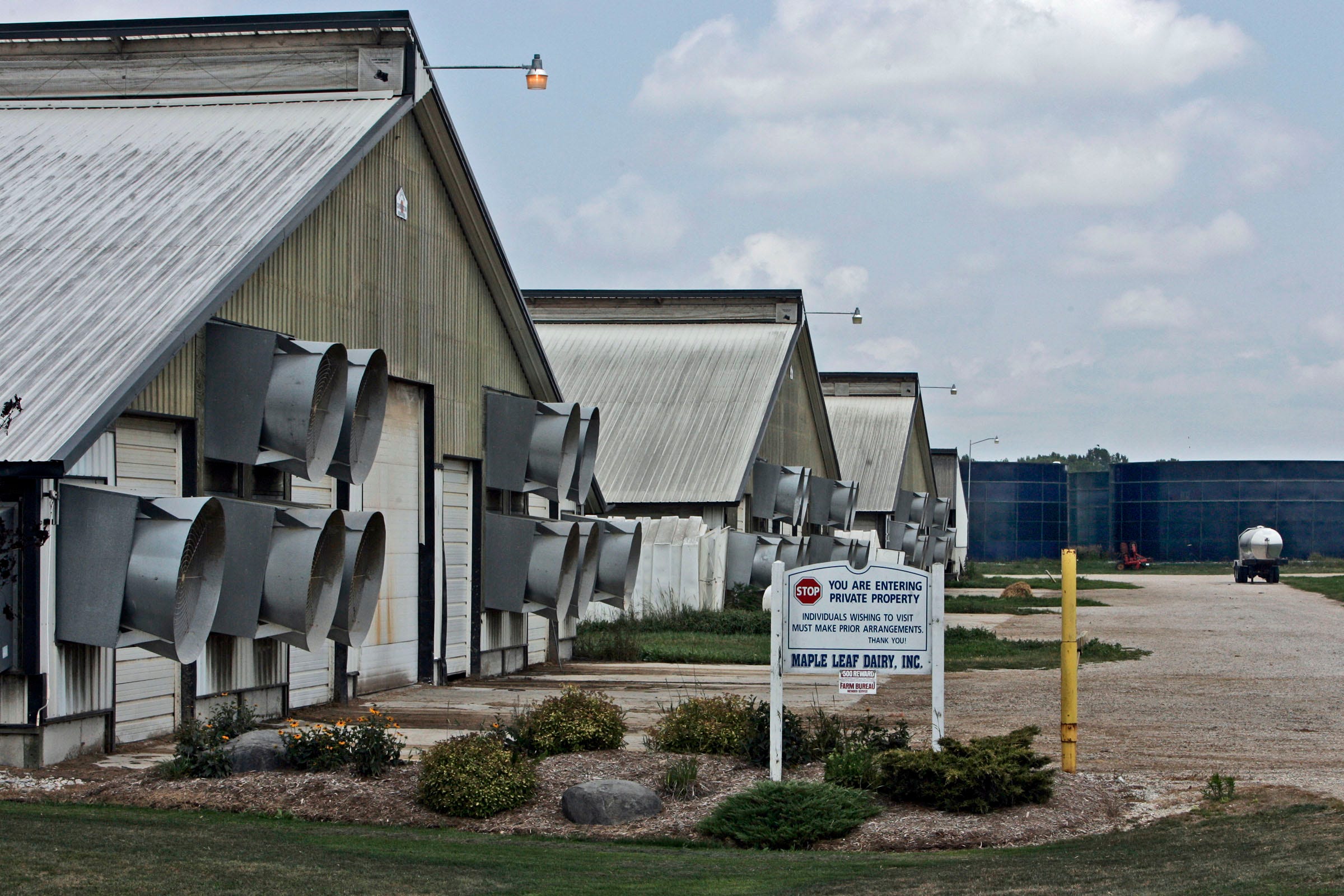 CAFOs are on the rise in Wisconsin. What to know about factory farms