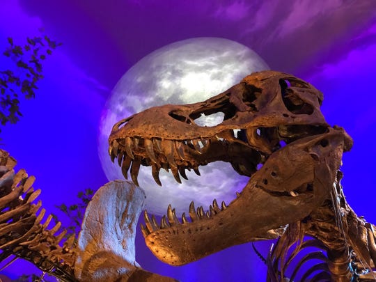 Children's Museum of Indianapolis leads big Jurassic Period excavation