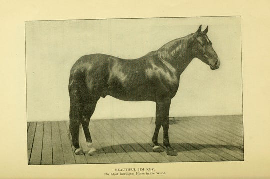 Beautiful Jim Key, the world's smartest horse, and owner William Key