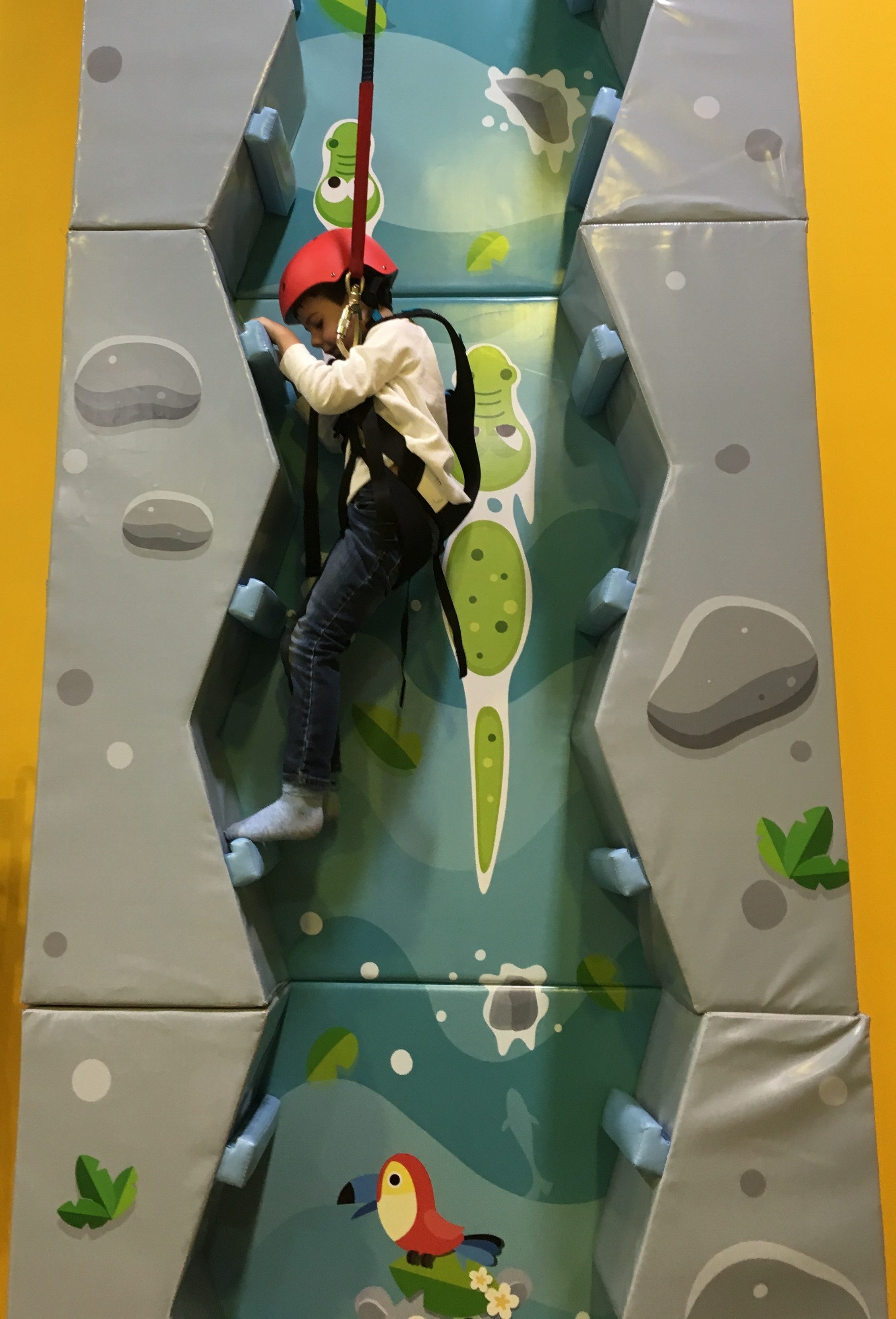 Newtopia kids park expands, adds rock climbing