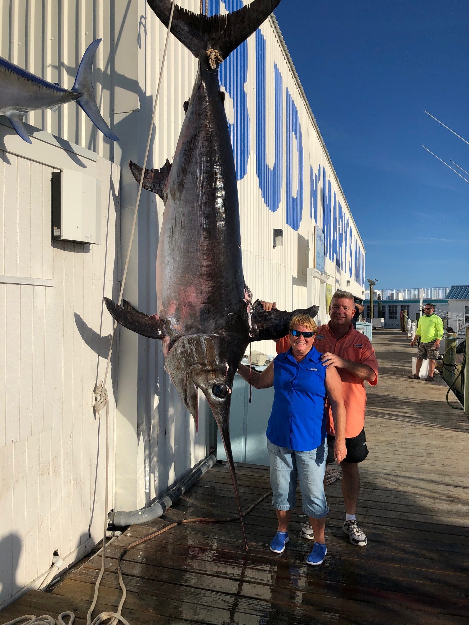 After fighting more than 8 hours, Cape couple reels in monster swordfish