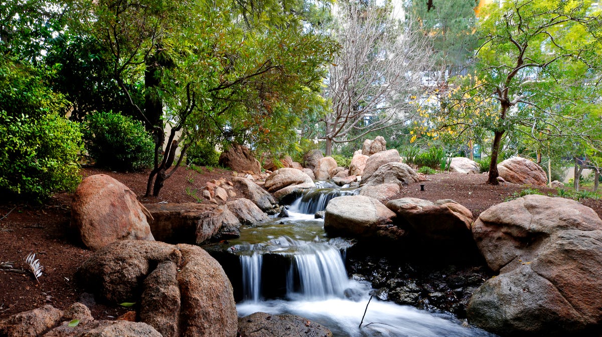 Spring equinox 2021 and the first day of spring: Celebrate in Phoenix