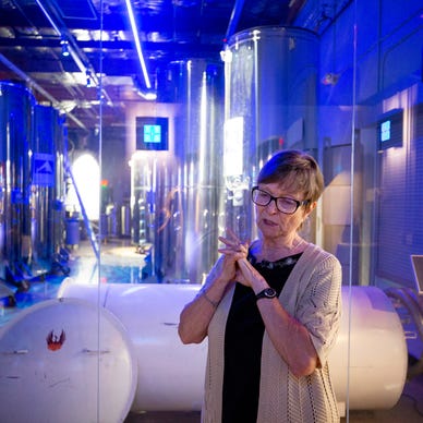 cryogenically frozen head