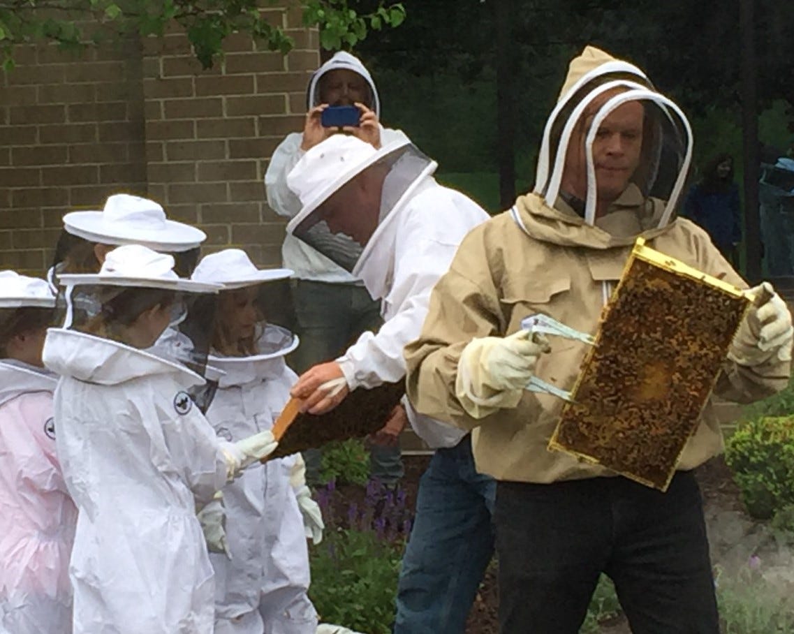 Bees in the D group create hives in metro Detroit