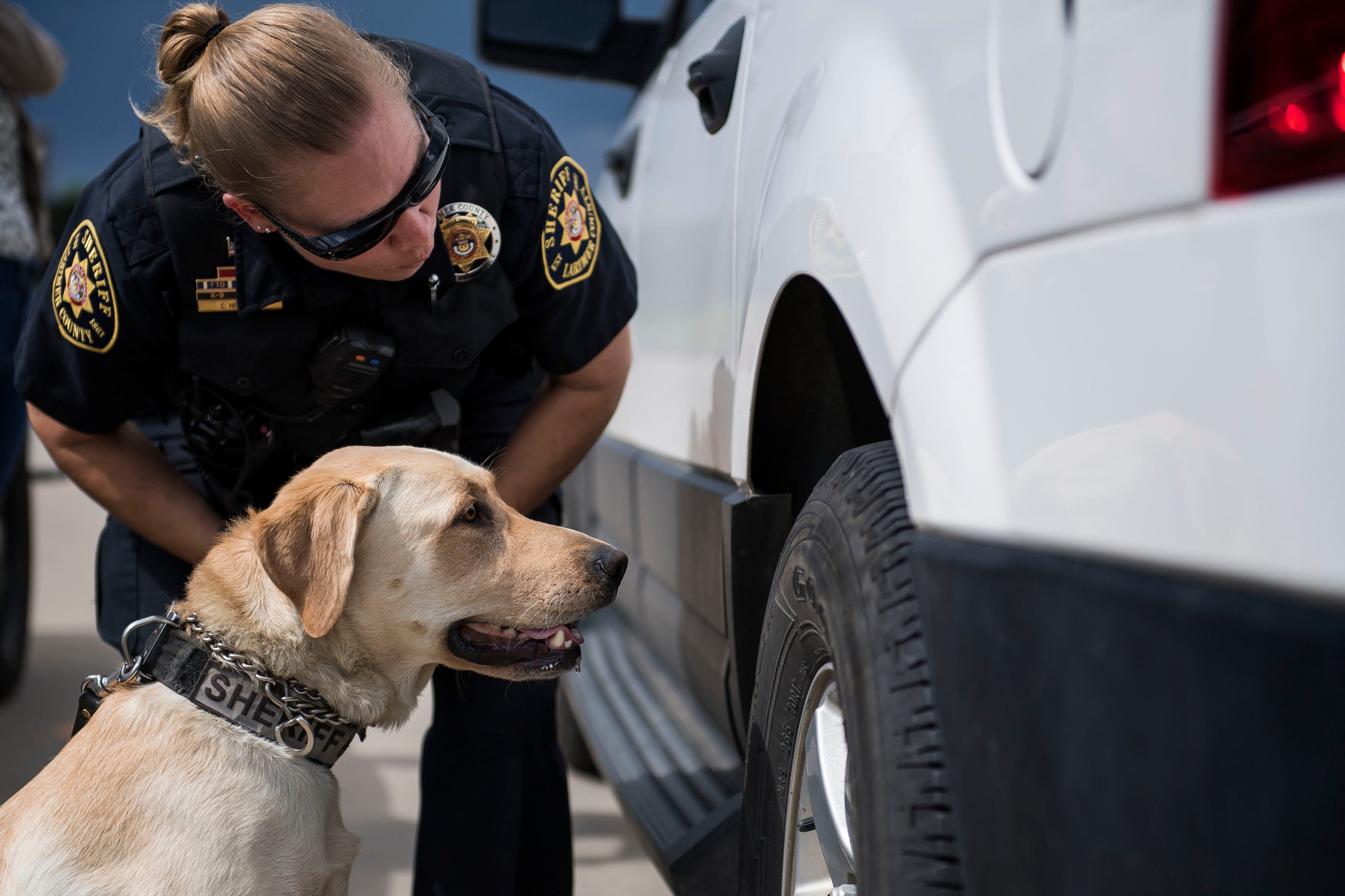 Can Police Dogs Smell Acid