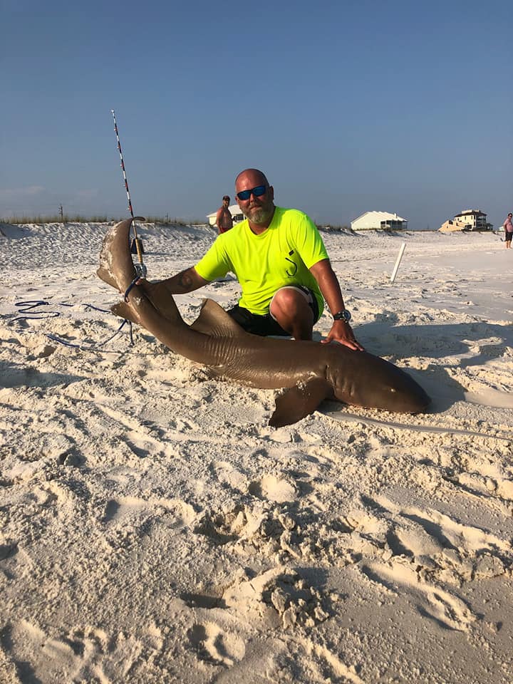No Bones Fishing in Navarre catches four sharks in just three hours