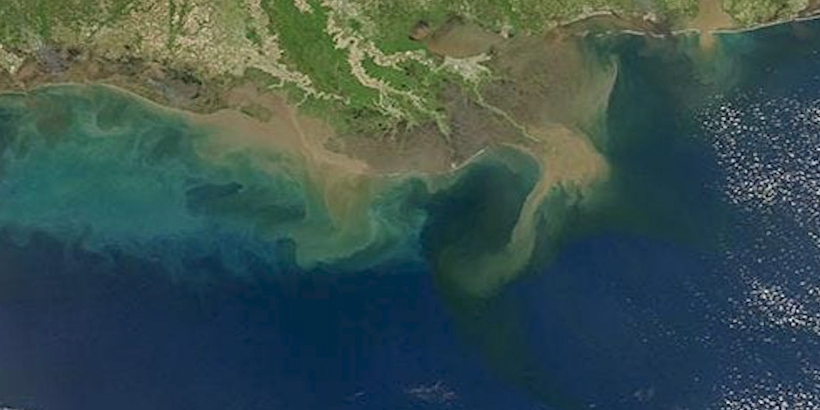 Gulf of Mexico dead zone may be caused by fertilizer runoff