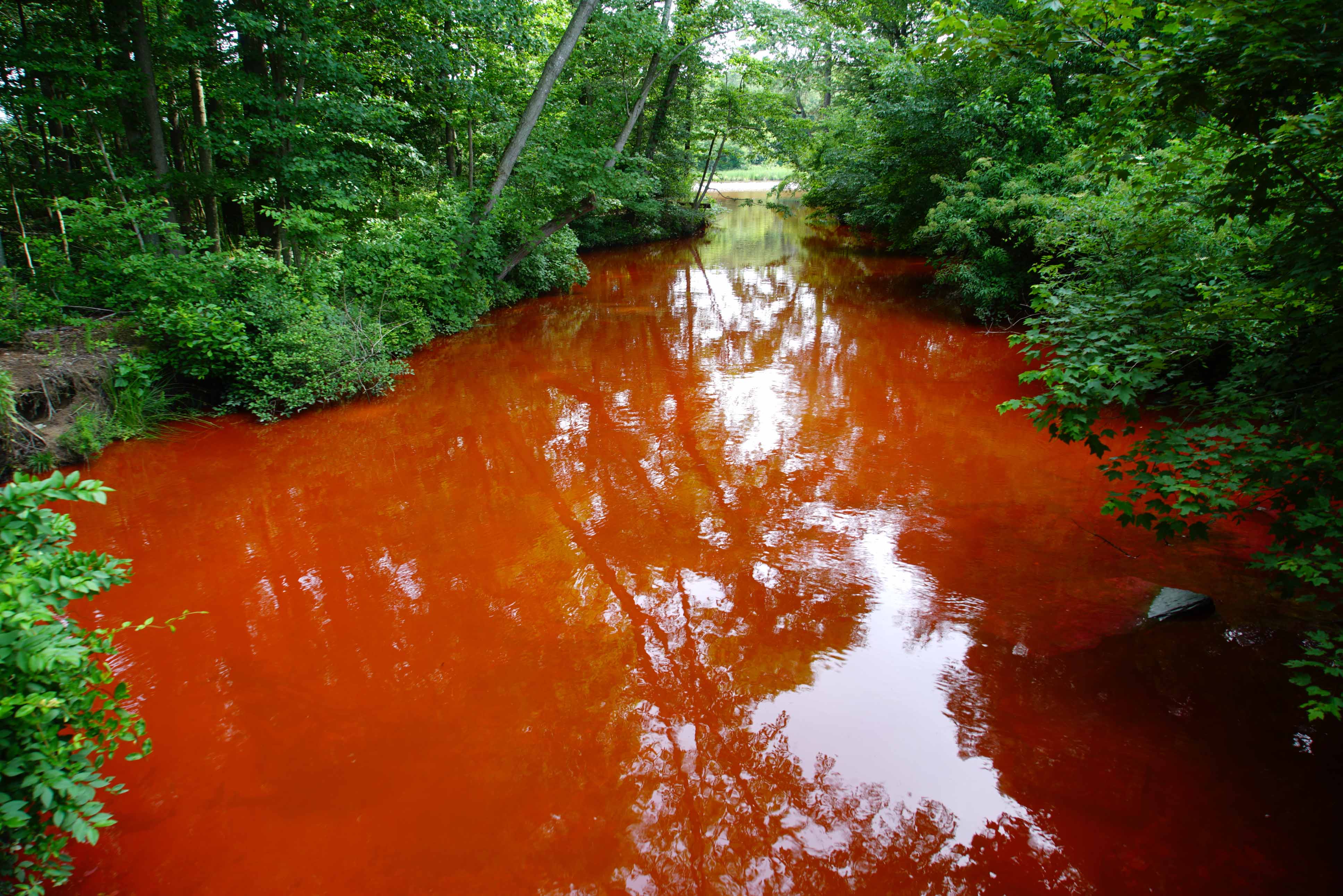 Murderkill River dyed red to learn if sewage spill would hurt shellfish