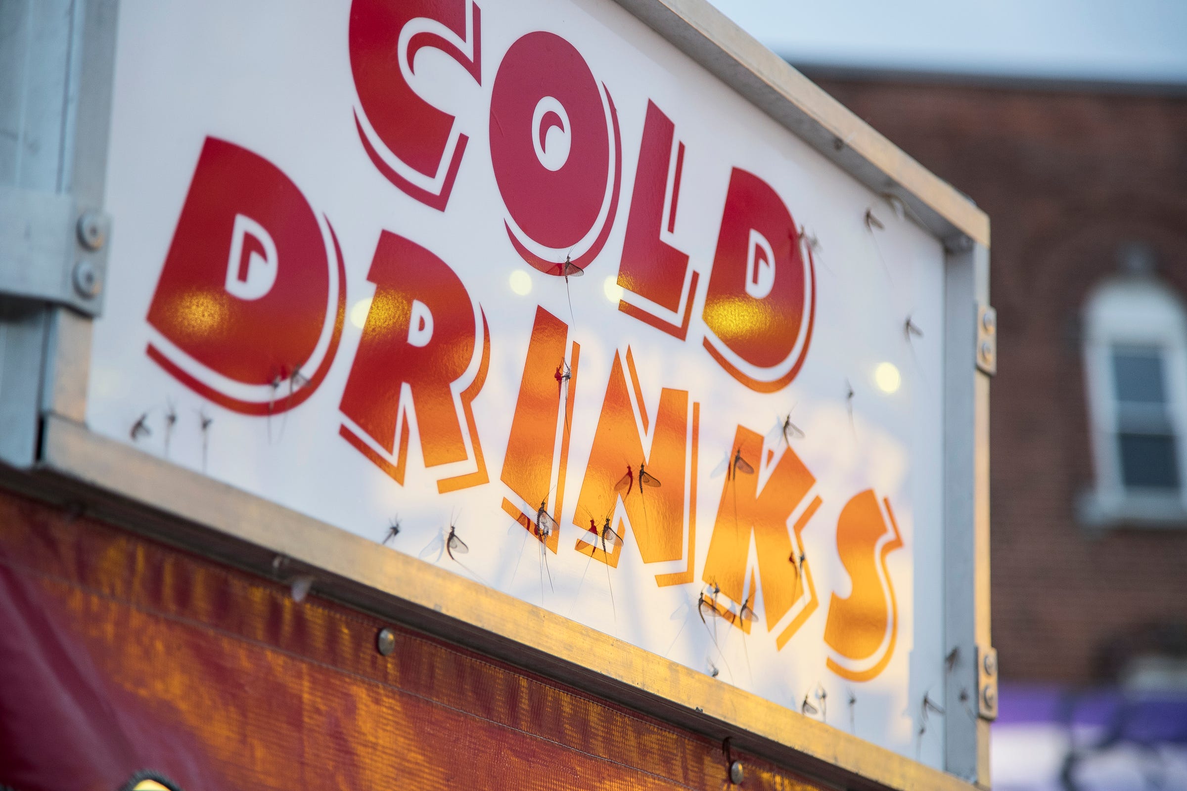 Fish flies swarm metro Detroit lakeside communities