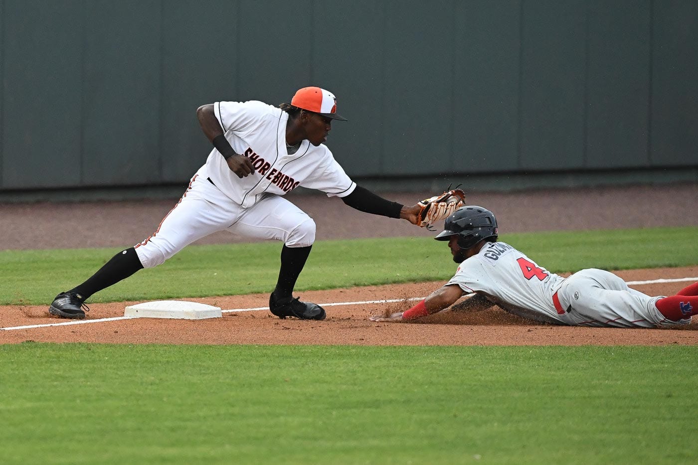 Delmarva Shorebirds named minor-league baseball Team of the Year