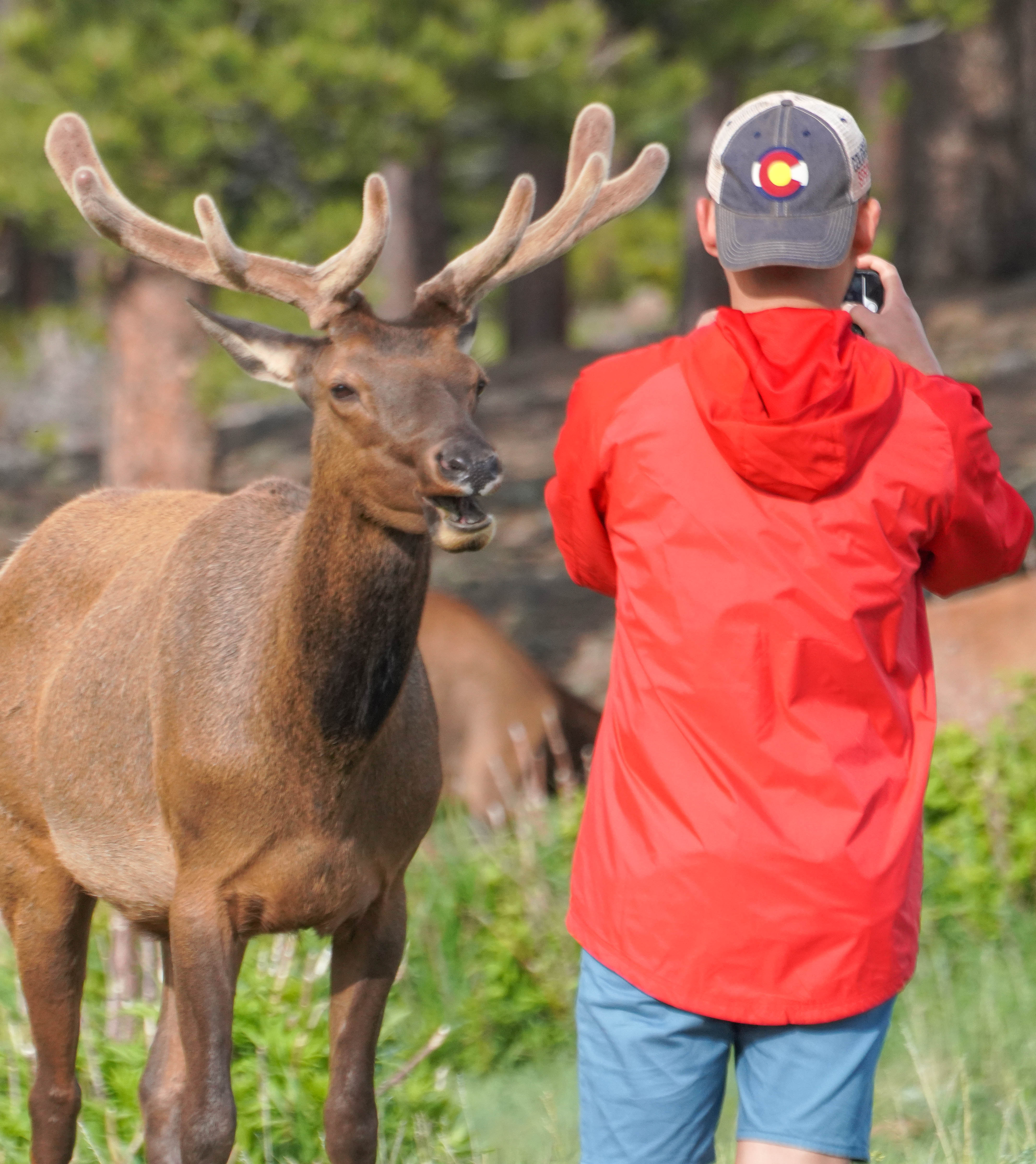 Man survives attack by 400-pound bear in Apsen, Colorado, home