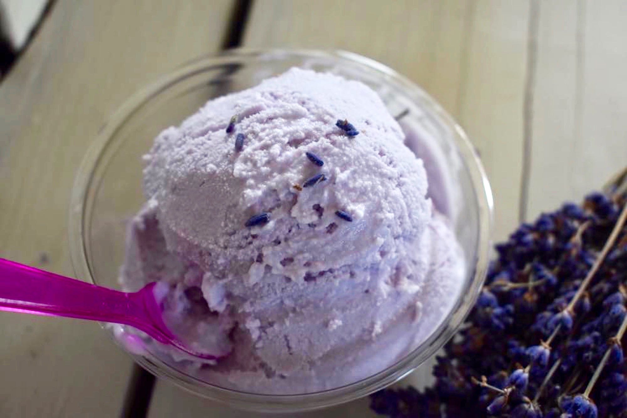 Lavender farms: Wisconsin farmers find uses for aromatic, edible herb