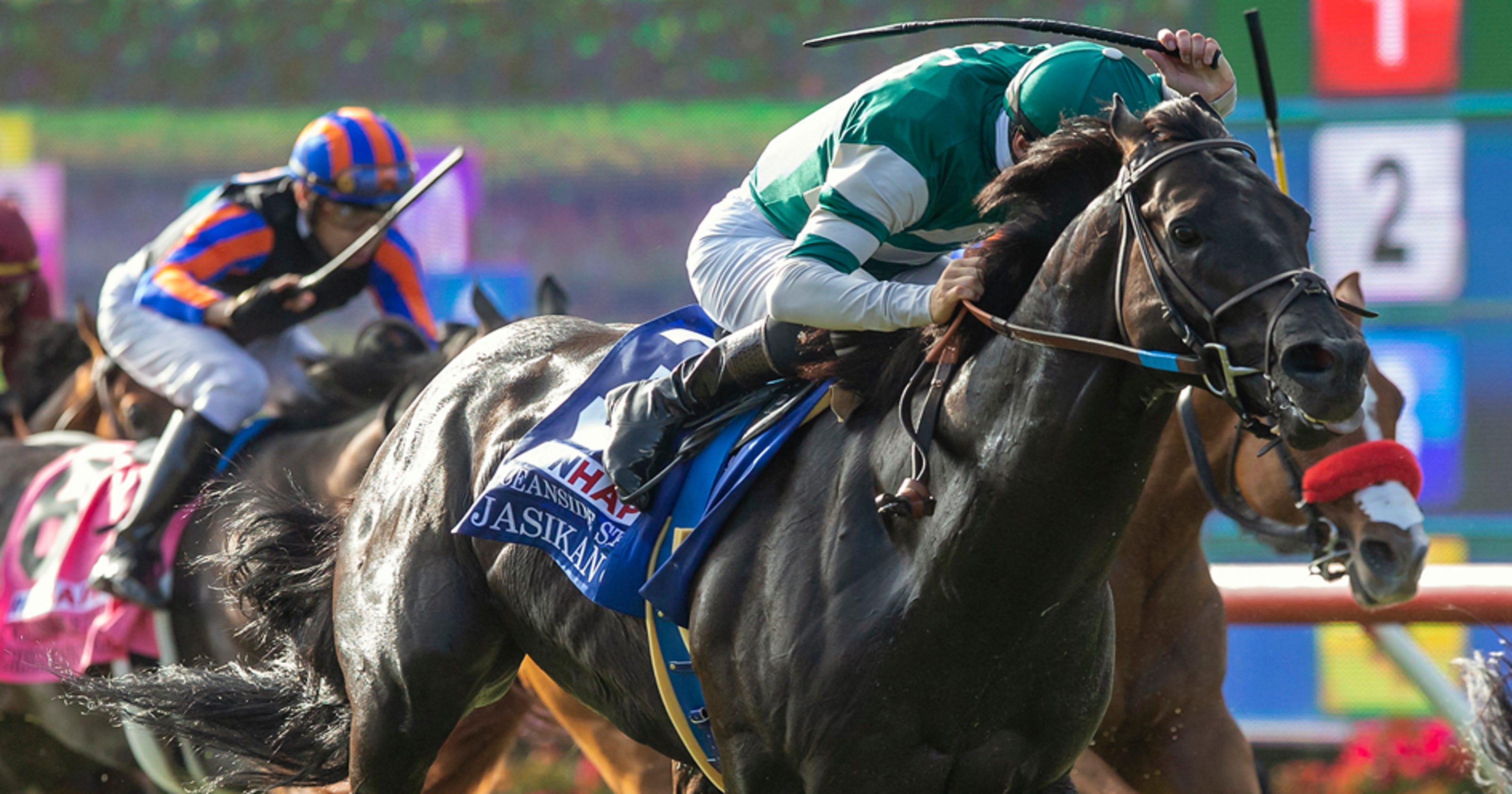 Horses dead after freak accident at Del Mar track in California