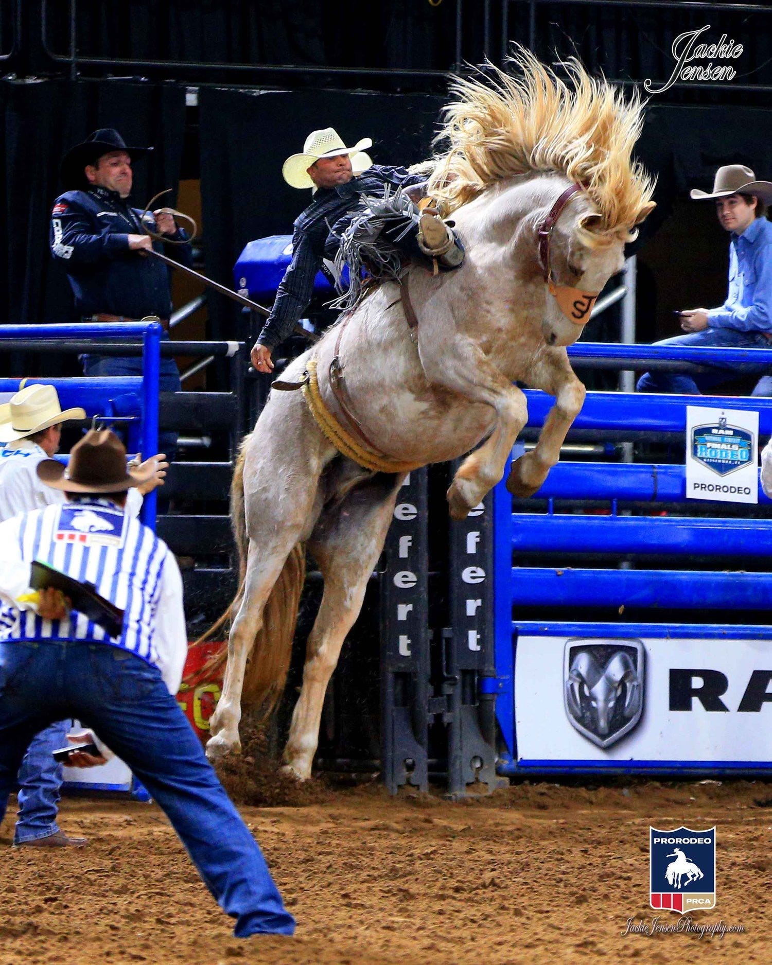 Saddle bronc riding stars in spotlight as Great Falls rodeo begins