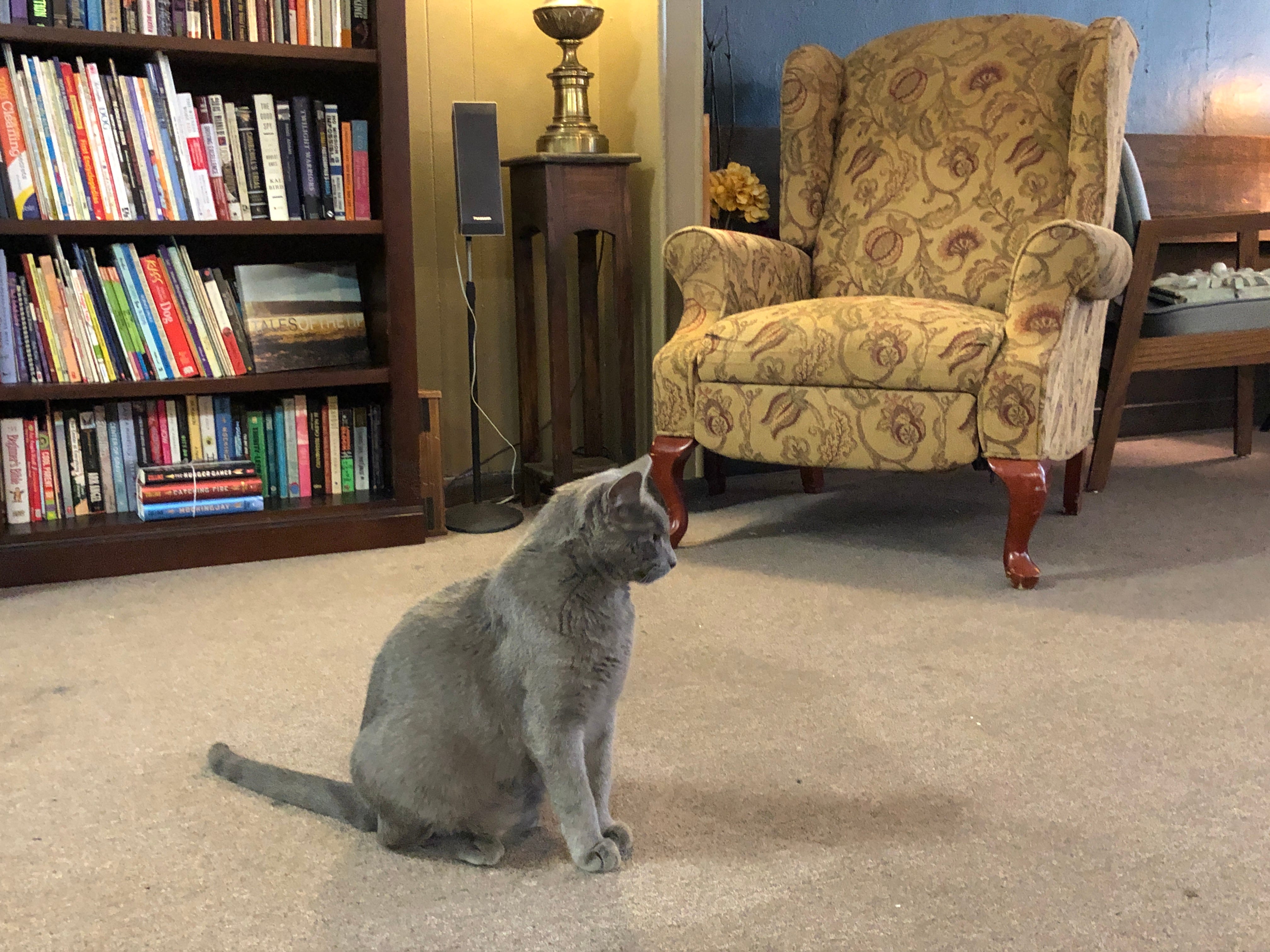 With music and games, Scott Church opens Living Room to the public