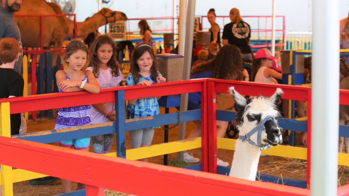 Dutchess County Fair 2019 photos