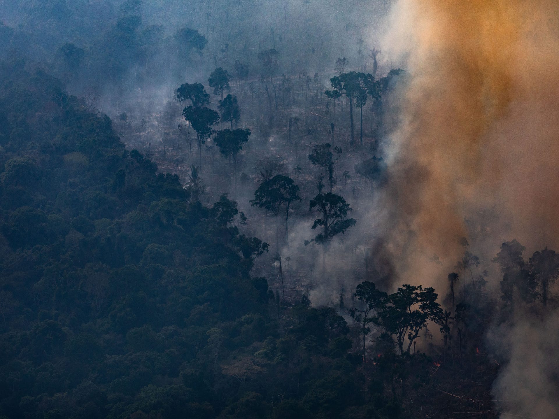 Wildfires rage in the Amazon rainforest
