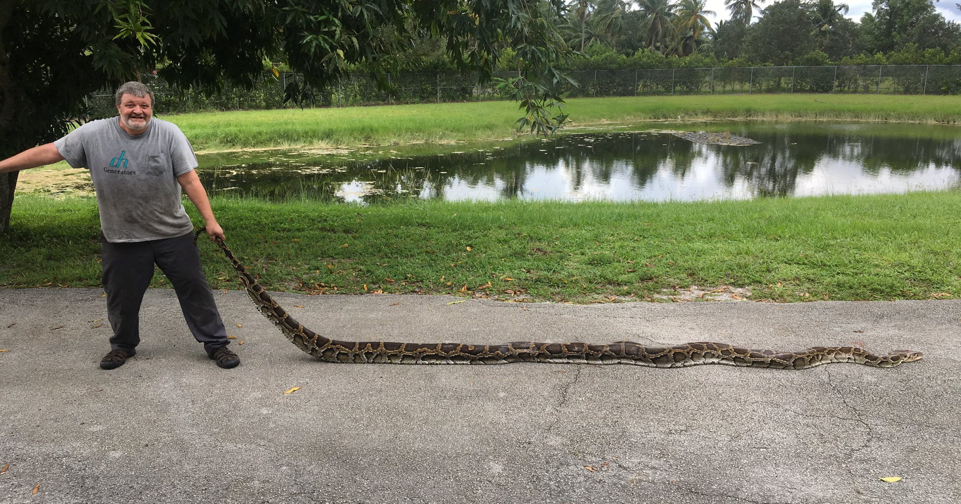 Burmese python measuring nearly 18-feet-long captured in Southwest Florida