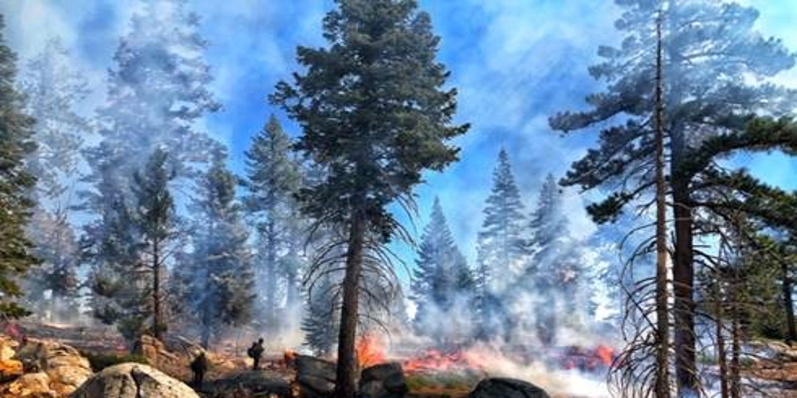 Portions of the Sequoia National Forest are burning, Broder Fire 10% ...