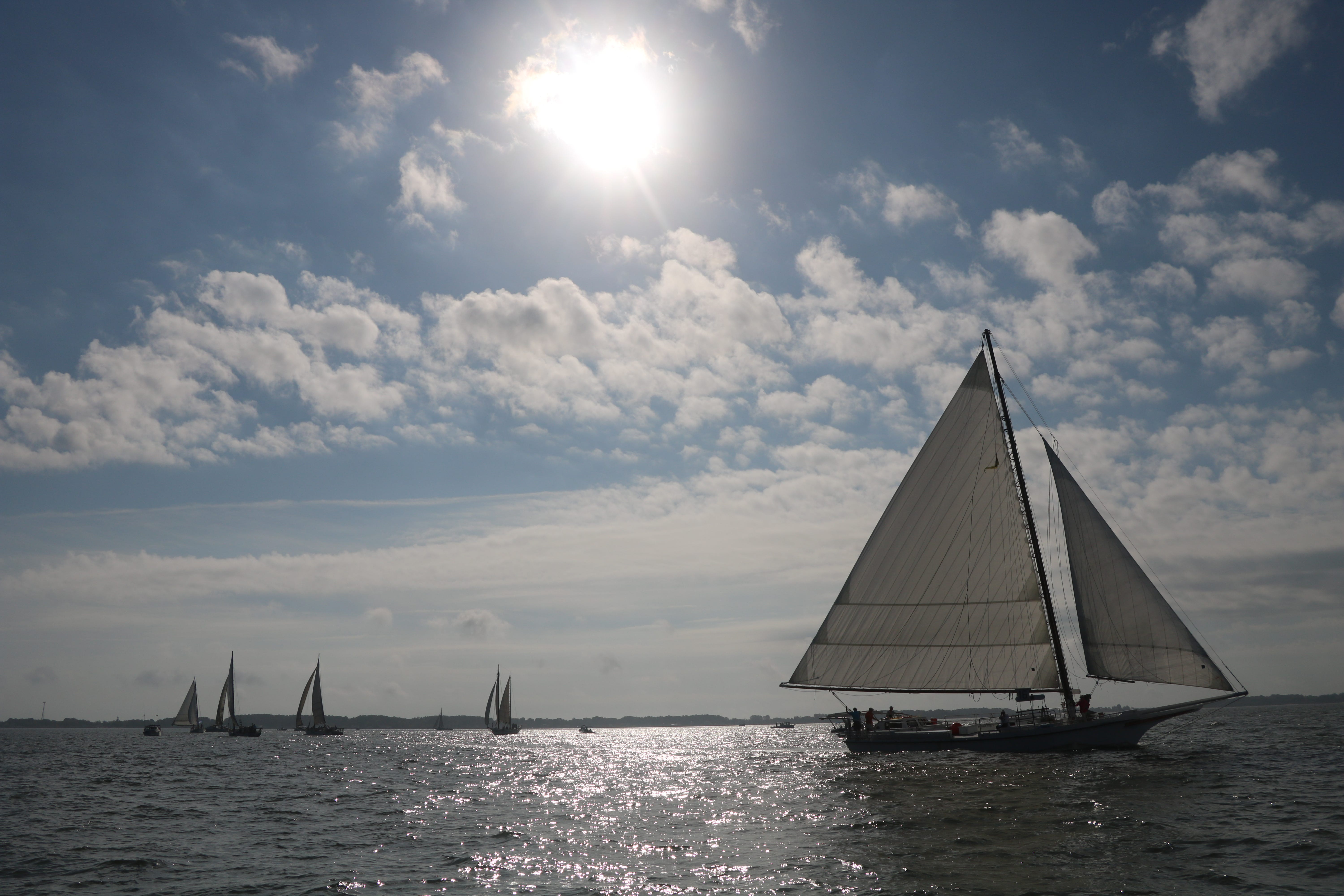 Deal Island Skipjack Race revives historical sailing tradition