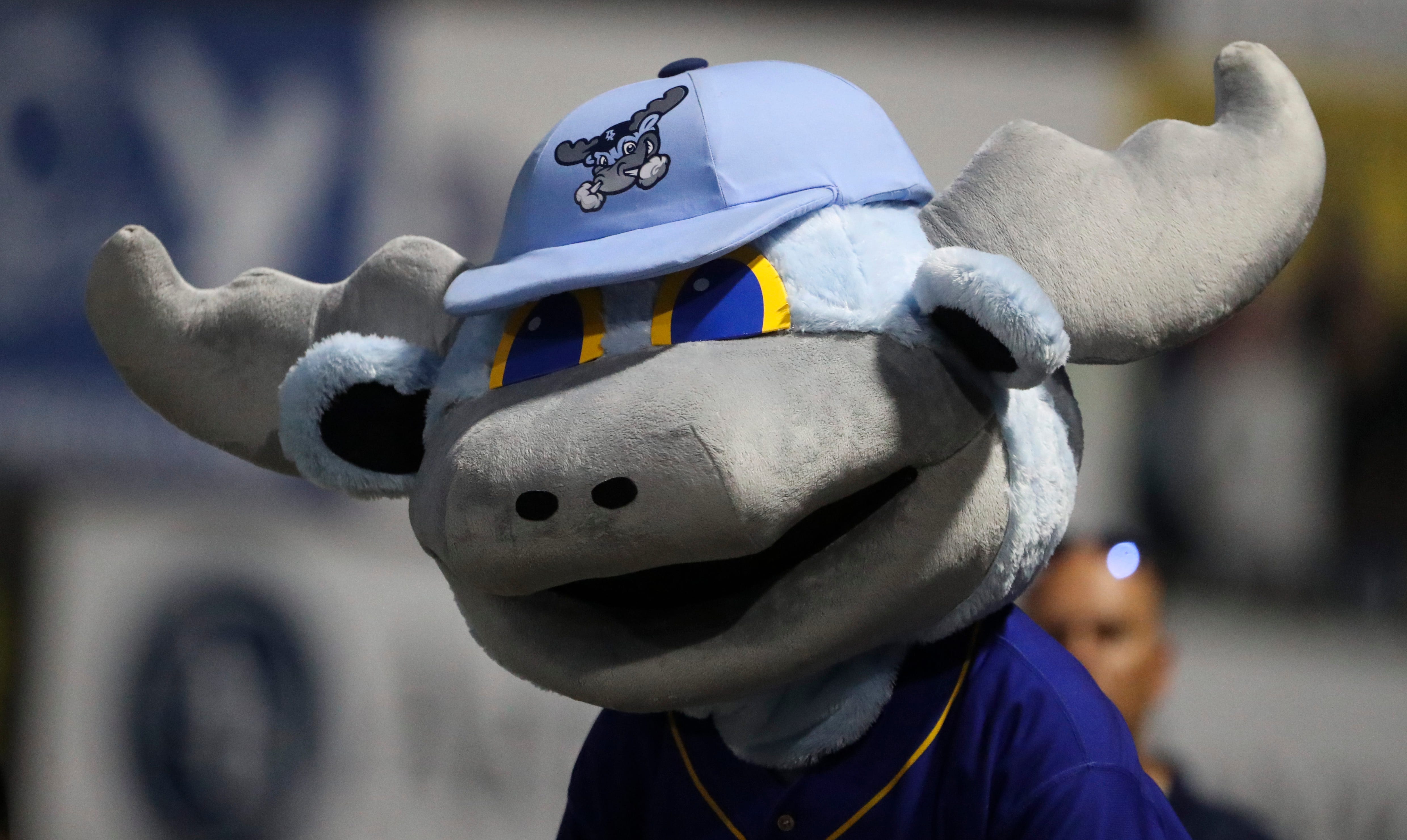 As Blue Rocks play for the Carolina League title, 6 things to know
