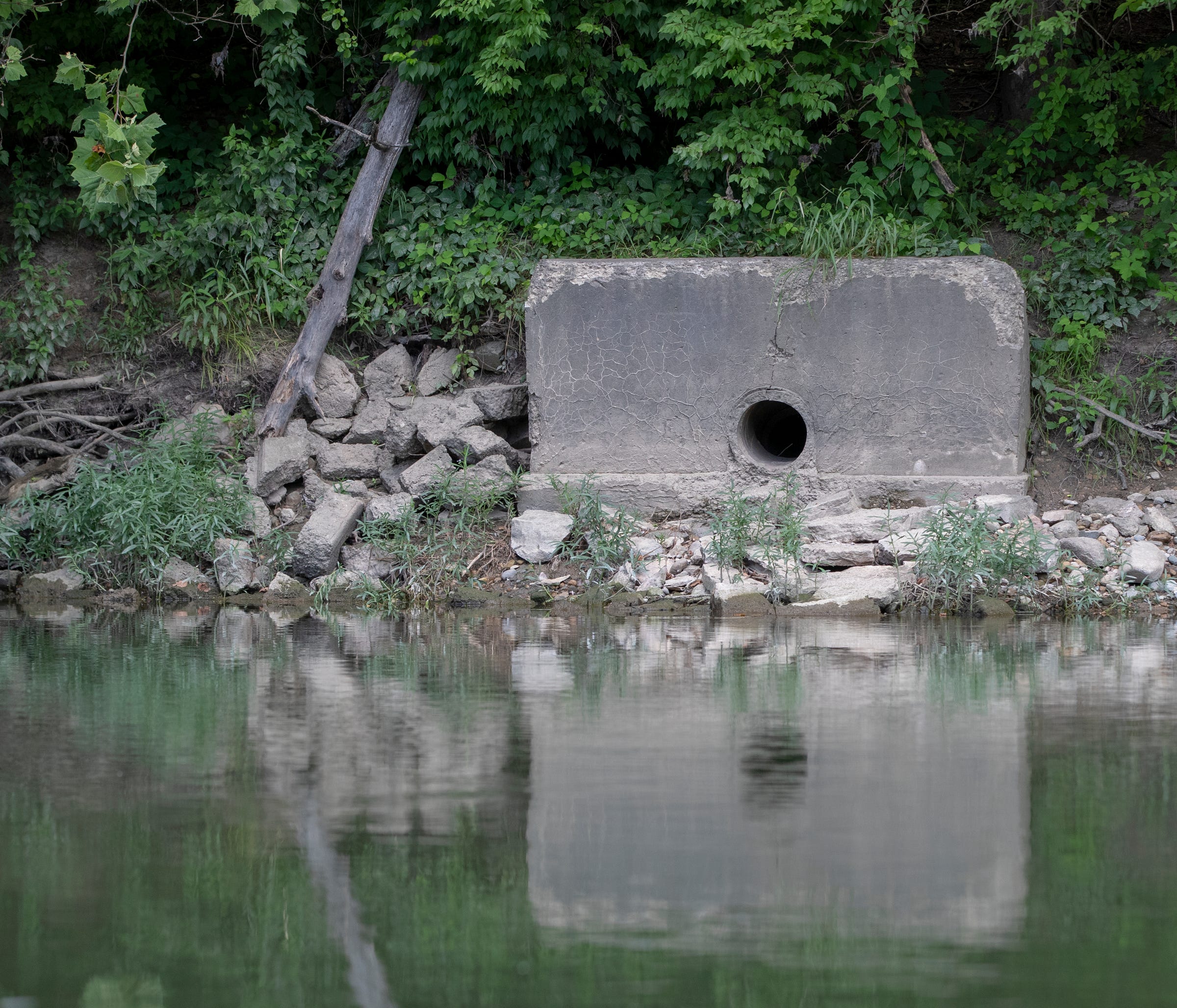 How you can help clean up the White River, starting with your pet poo