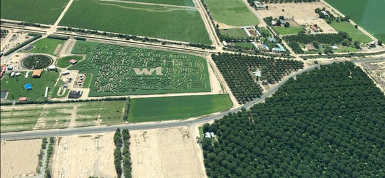 Here's what you need to know about El Paso-area corn mazes