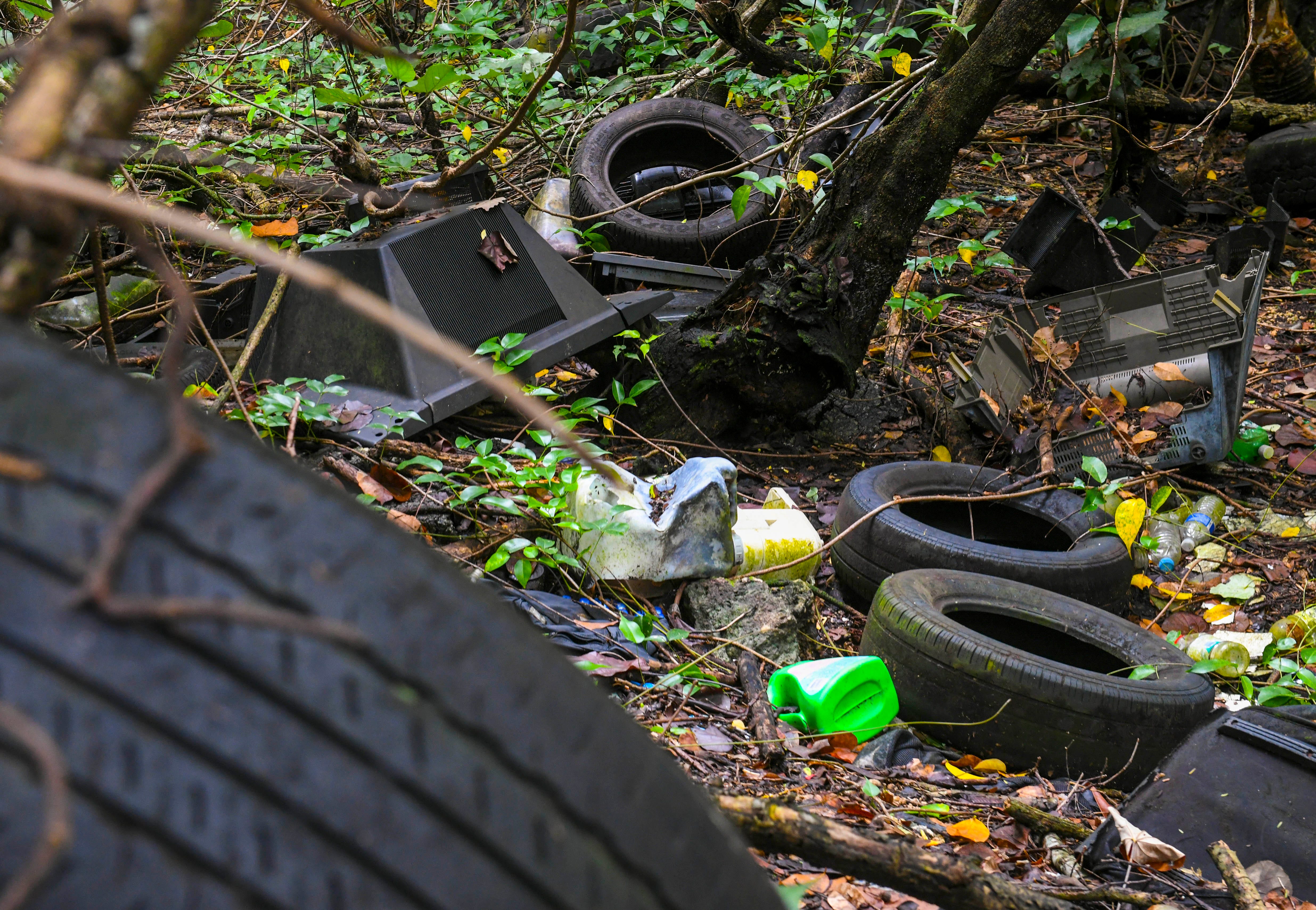 Our View: Do what you can to prevent dengue fever