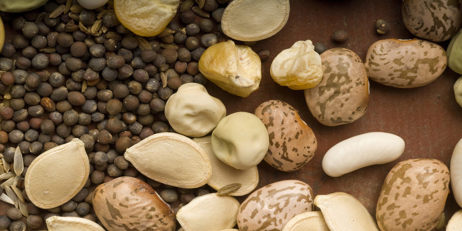 Plant seeds are the basis of civiliation