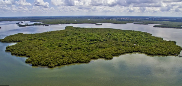 Mound Key purchase by Lee County preserves archaeological gem